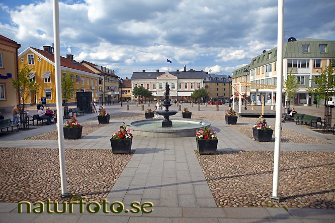 Stora torget - Naturfoto